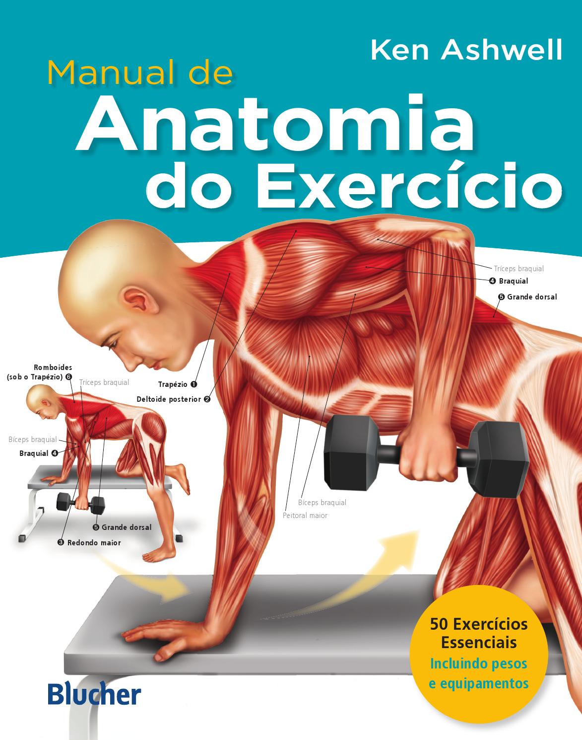 Issuu manual de anatomia do exercício by Editora Blucher - issuu