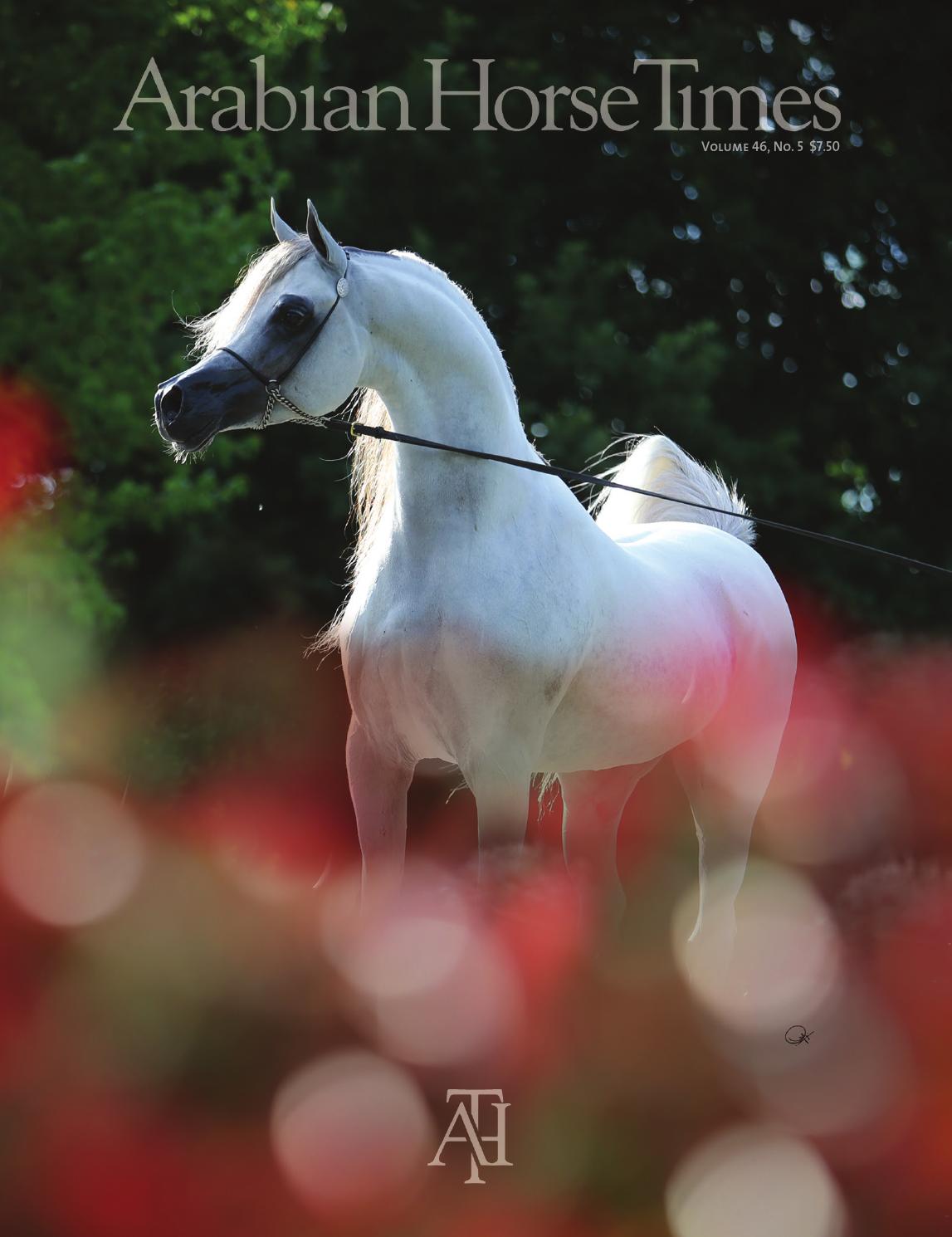 Arabian Horse Times - Vol 46 No 5 by Arabian Horse Times - issuu