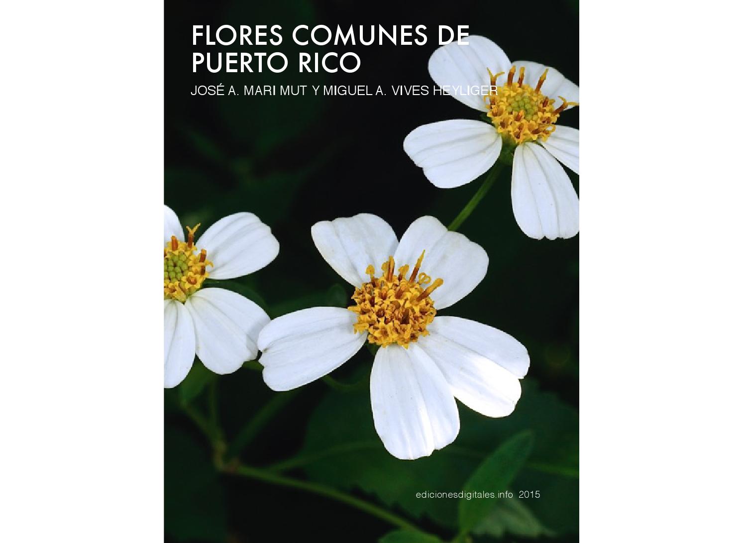 Flores Tipicas De Puerto Rico Foto Blog Puerto Rico: Fotos De Flores