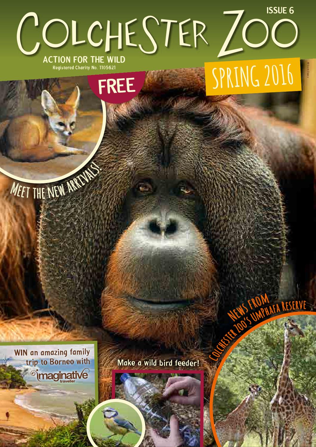 Colchester Zoo Magazine Spring 2016 by Colchester Zoo - issuu